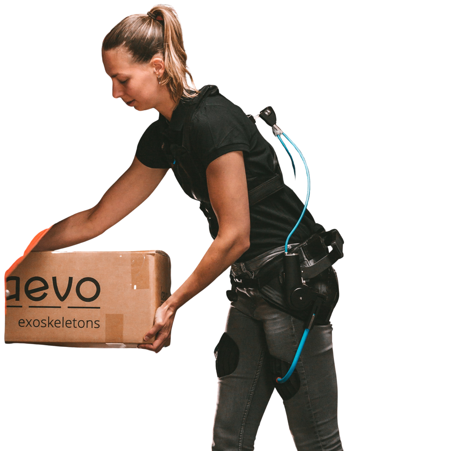 Laevo Flex - Stanley
